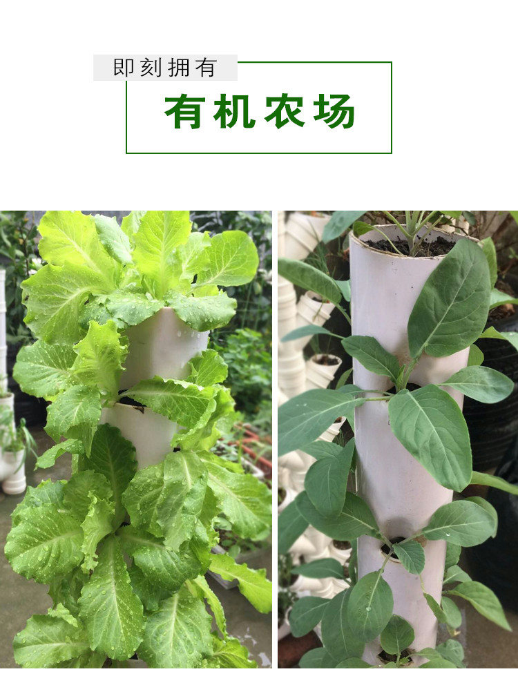 Pipe Planting Rack Column Type Multi-Layer Floor Vegetable Planting ...