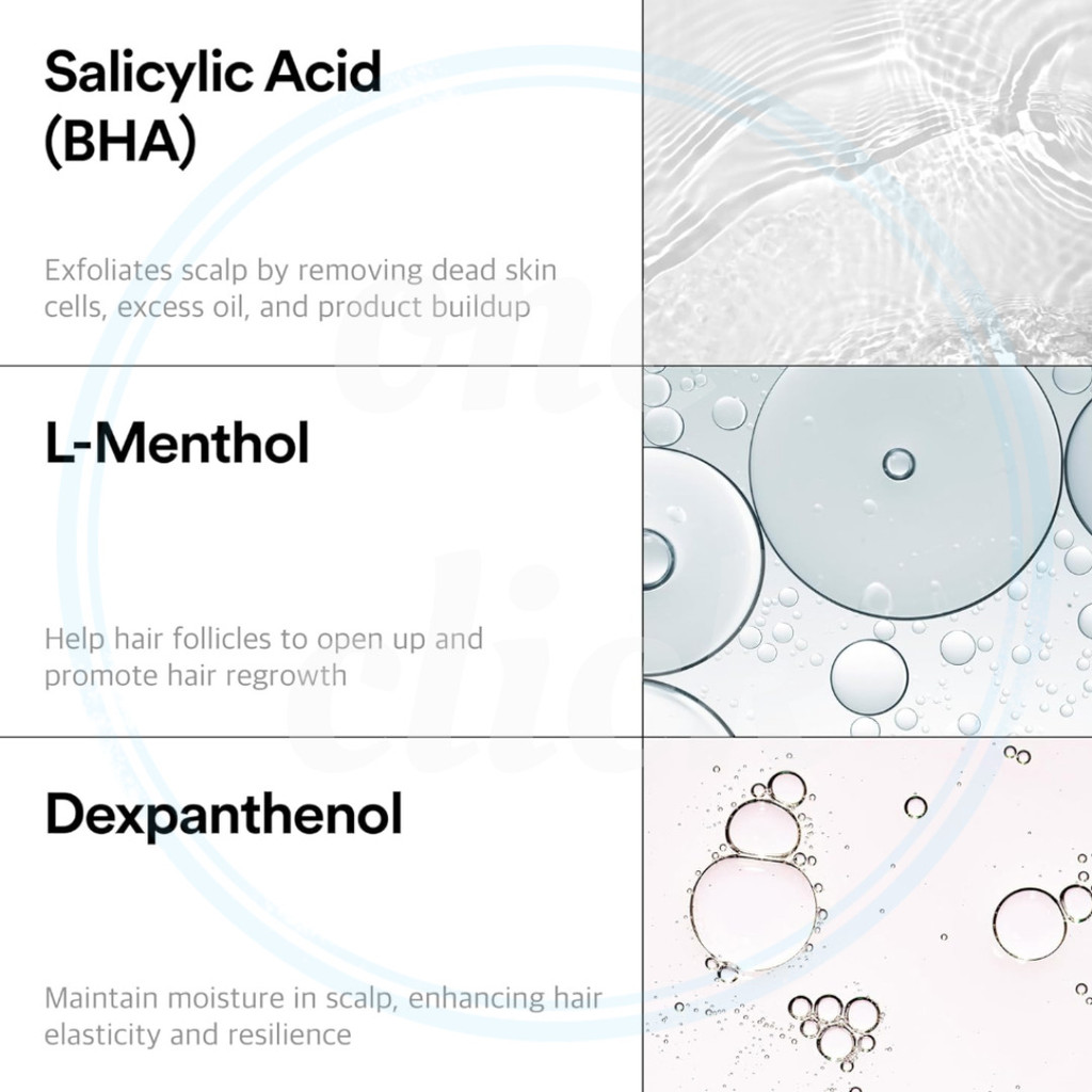 Refilled Hair Recovery Serum 100ml | Cytokine Scalp Care for Sensitive ...