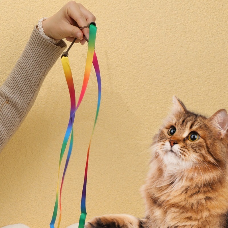 43cm Dog Training Whips - Pet Training Racket - With Long Handle ...