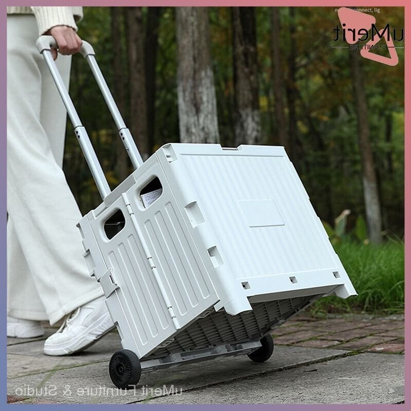 Shopping Cart Lage Household Hand-Pulled Mini Portable Two-Wheel ...