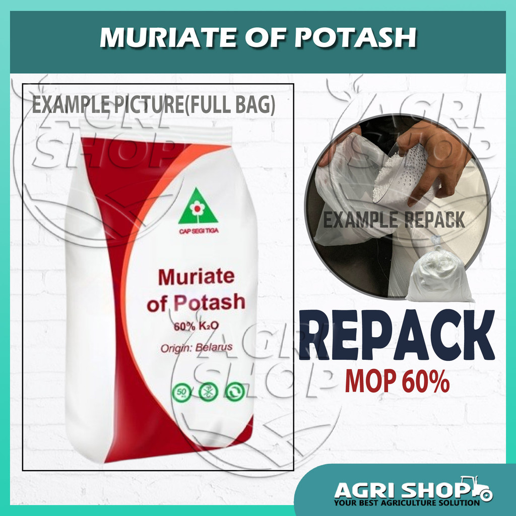 (REPACK) Agrishop Muriate of Potash MOP 60% 1KG 2KG 5KG K2O Potassium ...