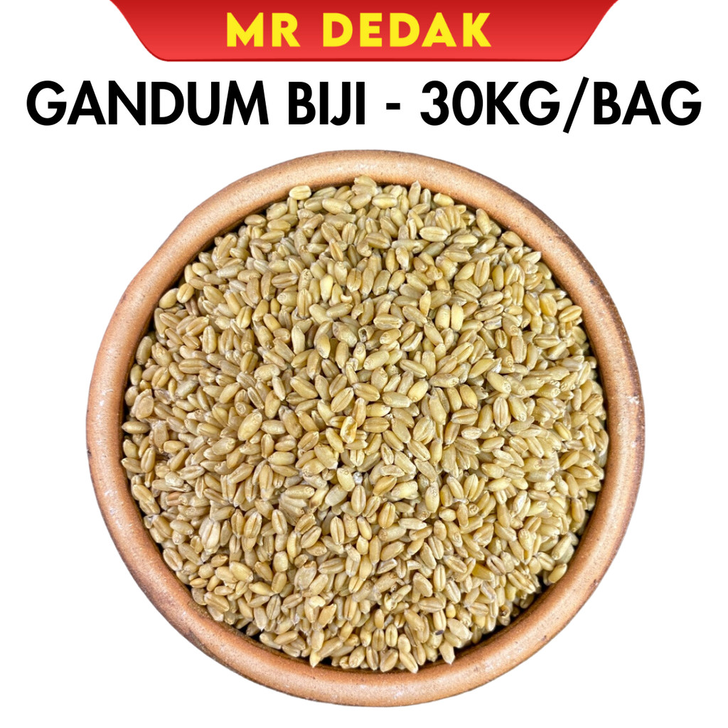 [30G] BIJI GANDUM TERNAKAN | MAKANAN HAIWAN AYAM, BURUNG, HAMSTER ...