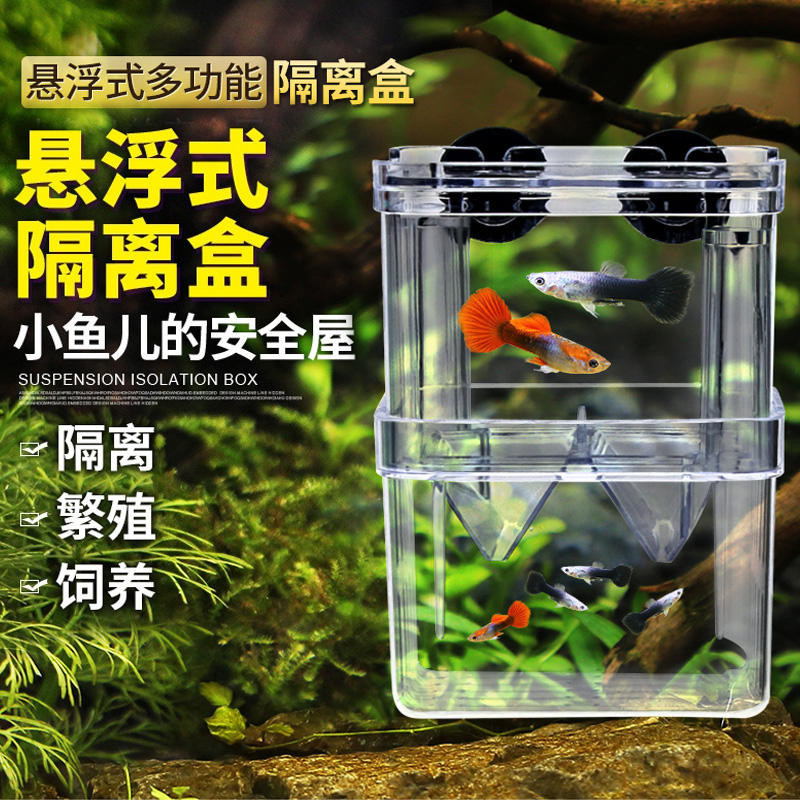 Special Offer ※ Fish Fry Breeding Box Guppy Production Fish Incubation ...