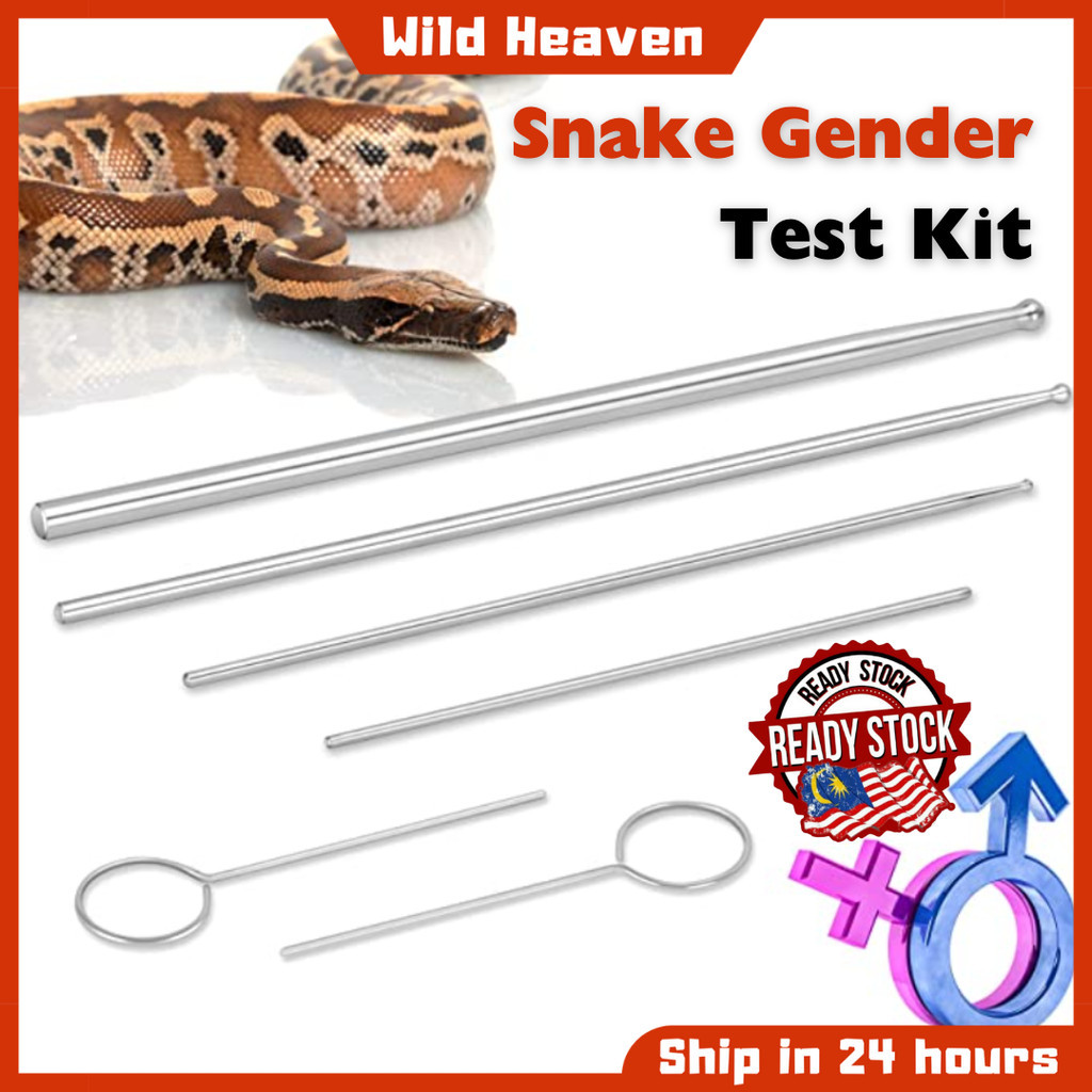 Snake Probe Kit Snake Sexing Probes with Round Ball Tip Professional ...