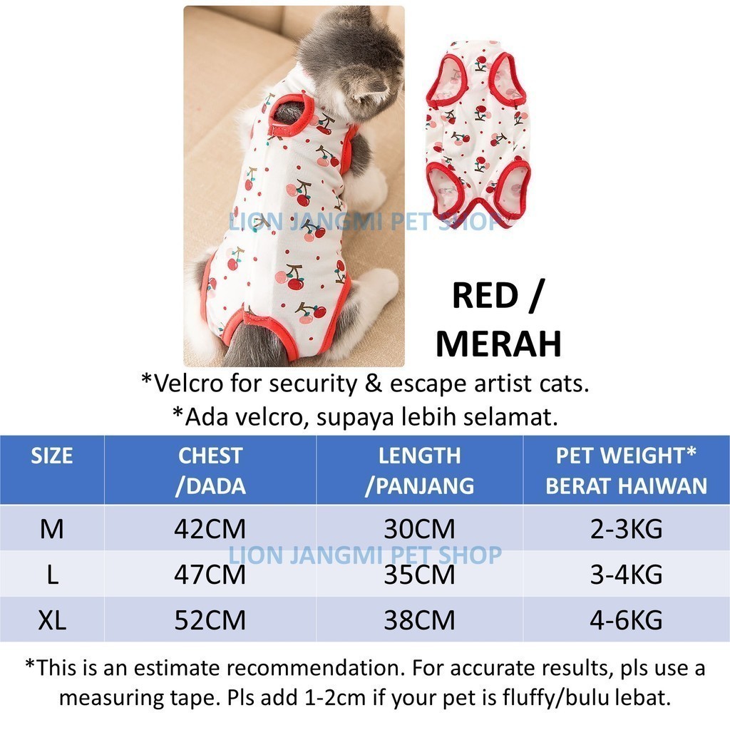 Selepas Surgeri - Baju Kucing Jantan Betina Mandul - Pet Cat Recovery ...