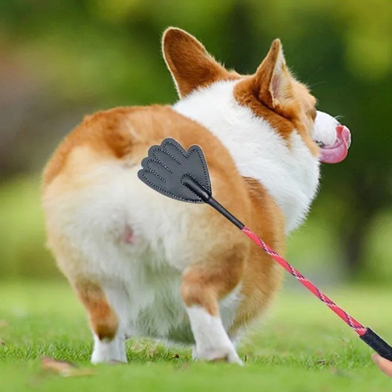 43cm Dog Training Whips - Pet Training Racket - With Long Handle ...