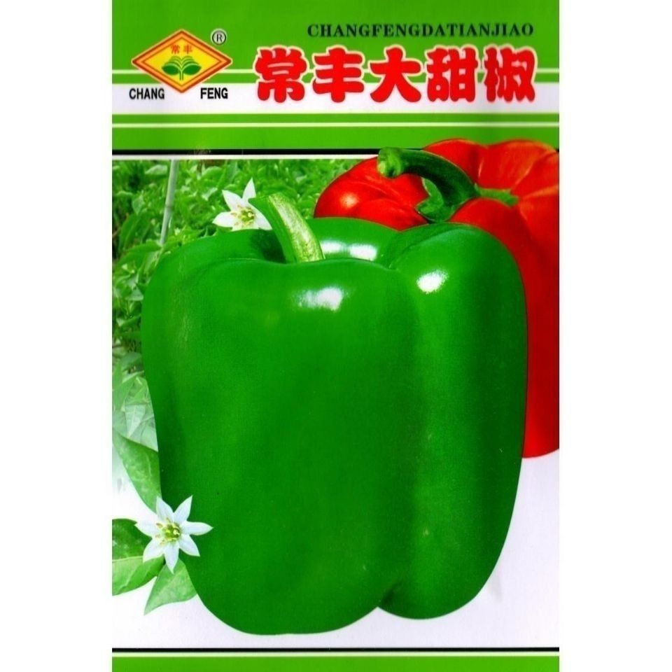 Biji lada benggala besar tambahan lada benggala besar lada hijau lada ...