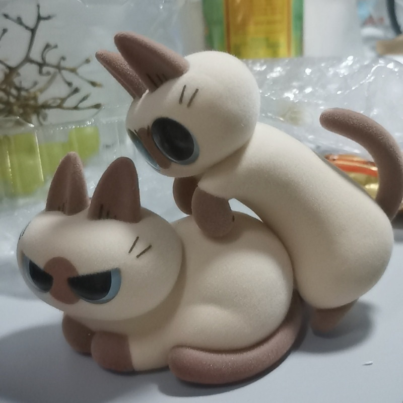 Azuki Can Azukisan's Daily Life 2nd Series Azuki Cat Blind Box Anime ...