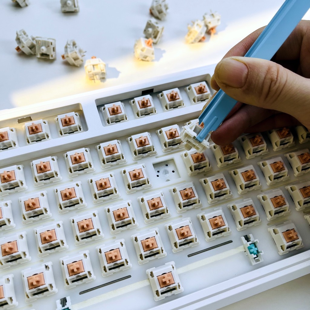 MMD Holy Panda V2 Prelubed Switch Tactile Switch 55g POM Switch ...