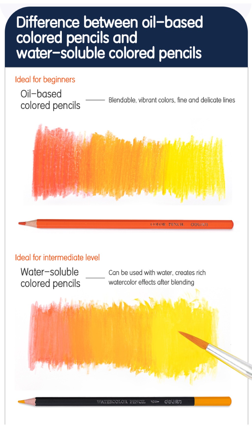 Deli Finenolo Colour Pencil V2 with Standing Case Watercolour Color ...