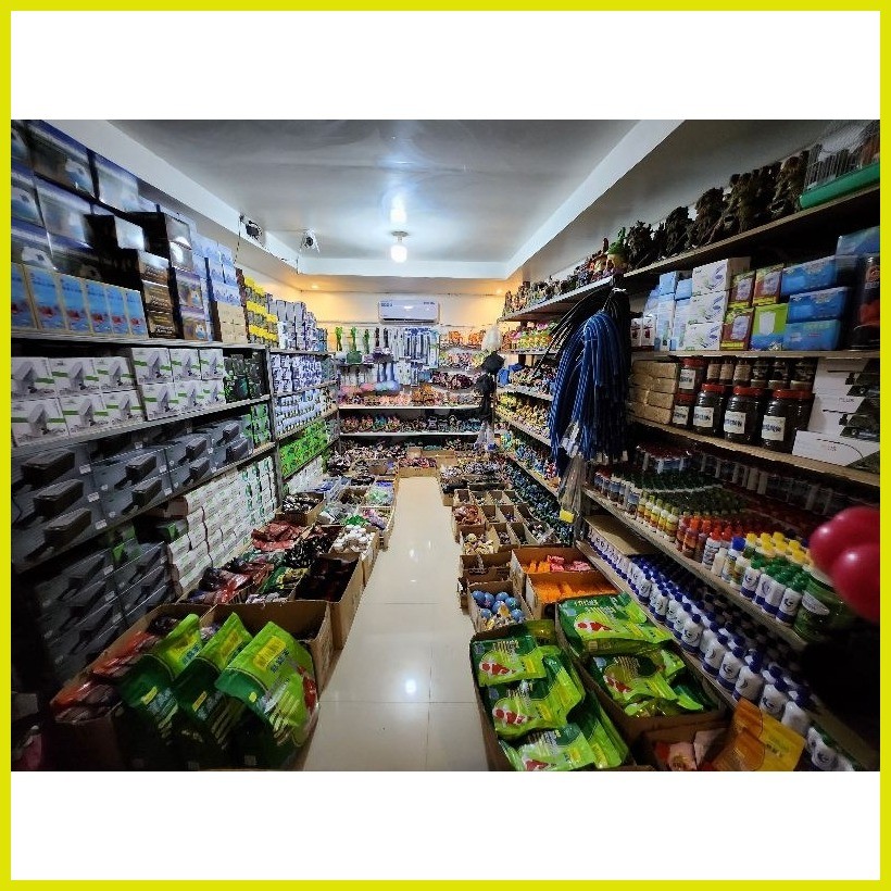 CLAM SHELL POP UP aquarium | Shopee Malaysia