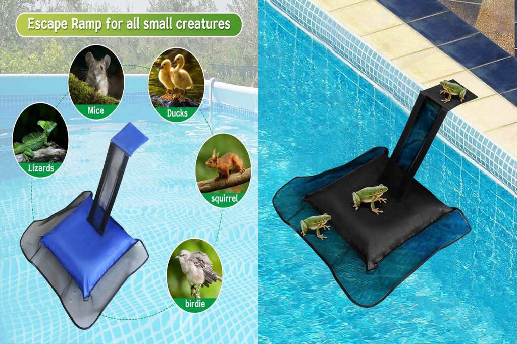CZ Animal-friendly Swimming Pool Products Escape Ramp Floating Frog ...