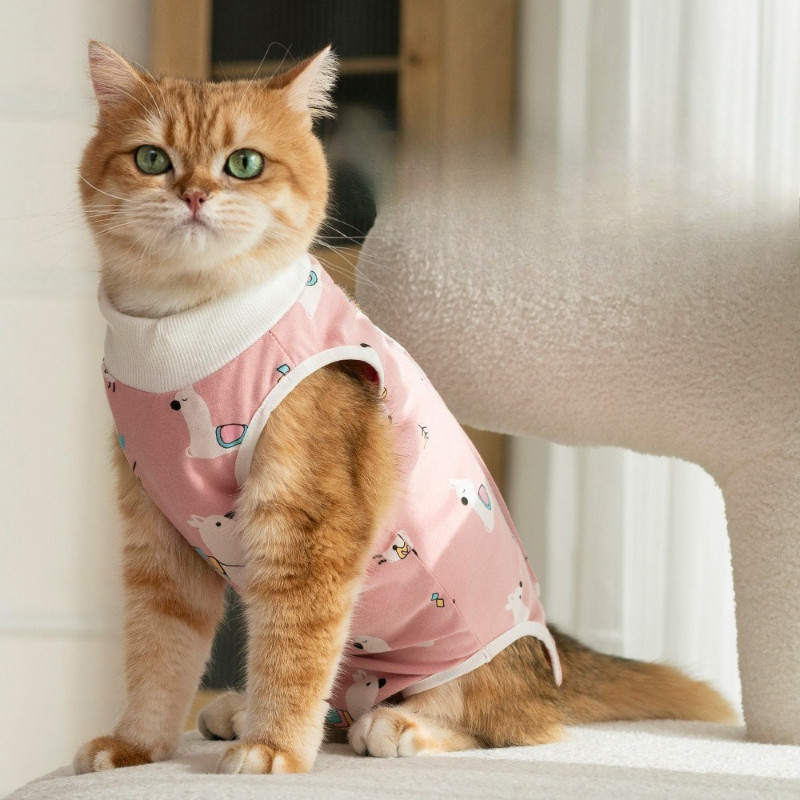 Pet Recovery Suit for Cat Breathable Dog Onesie for Surgery Spay Neuter ...