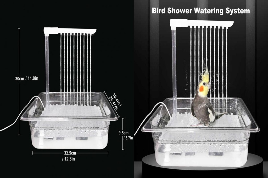 Pet Bird Bath Bird Bath Fountain Automatic Shower Time For Birds ...