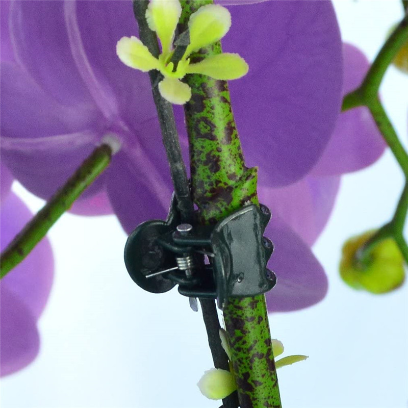 20/100/200PCS Plant Fixed Clips Orchid Flowers Support Clamp Garden ...