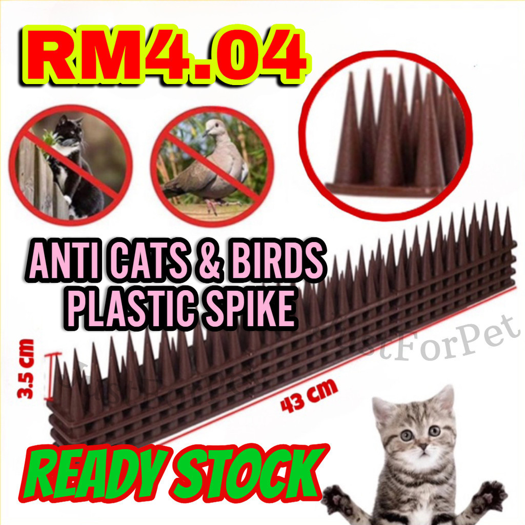𝐋𝐎𝐂𝐀𝐋 𝐒𝐓𝐎𝐂𝐊 Plastic Anti Cat Bird Spike/Cat Repellent/Penghalang Burung ...