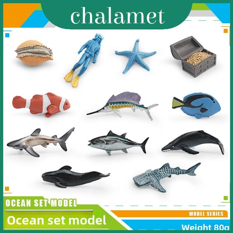 Marine Animal Kids Clownfish Starfish Crab Shell Scene Pvc Realistic ...