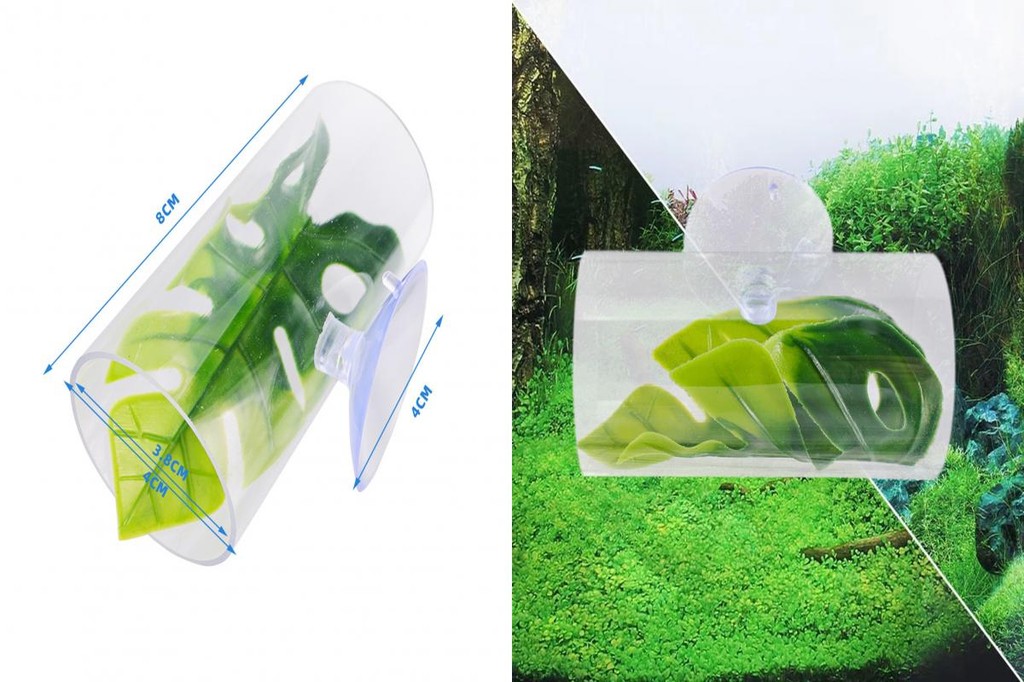 CHEER Acrylic Betta Fish Perch Betta Fish Play Tunnel Acrylic Betta ...