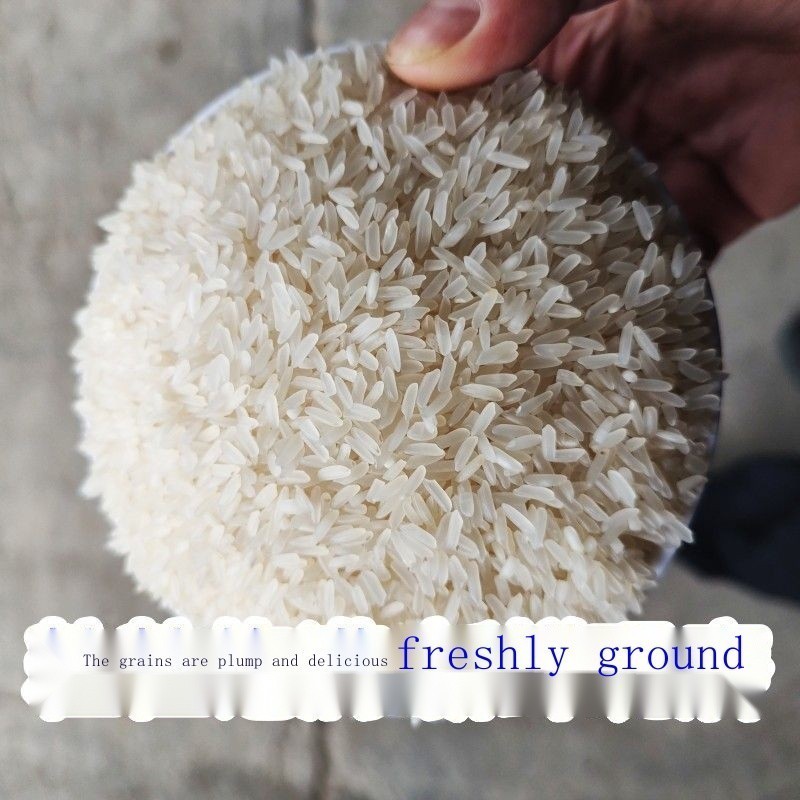 Guangxi Shanglin Jiuqi Fragrant Rice 2022 Late Rice Long-grain Fragrant ...