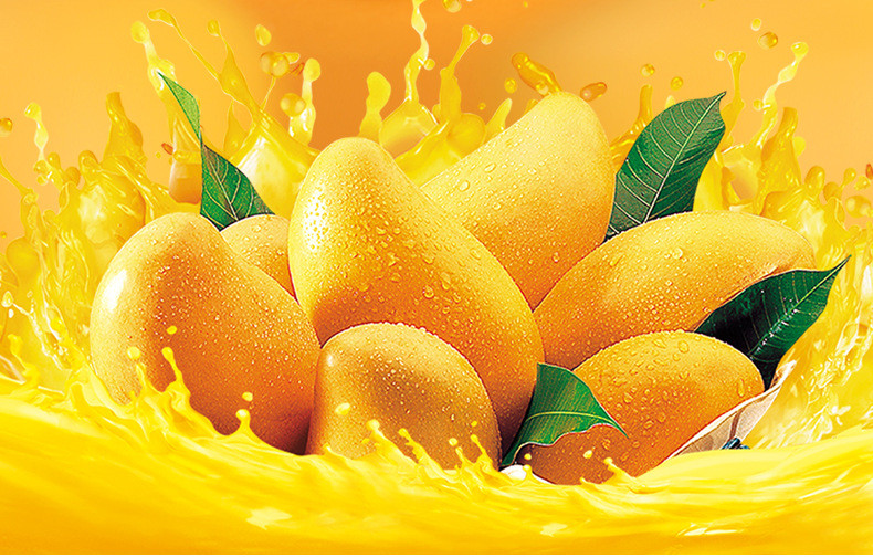 Super Delicious MANGO PUDDING JELLY GUMMY Mango Peel Gummy Snacks Fruit ...