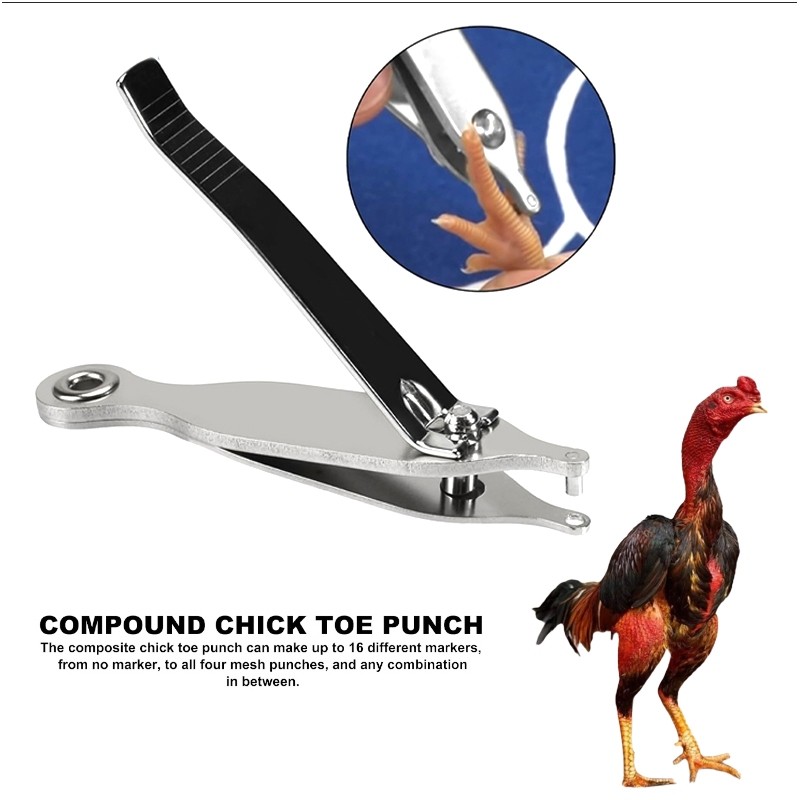 3 IN 1 Gamefowl kit 2mm Toe puncher for chicks Chicken feet puncher ...