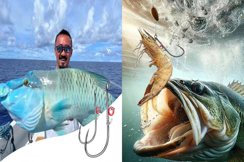 Catfish Fishing Hook Barbed Fishing Hooks 10pcs Live Shrimp Fixing Hook ...