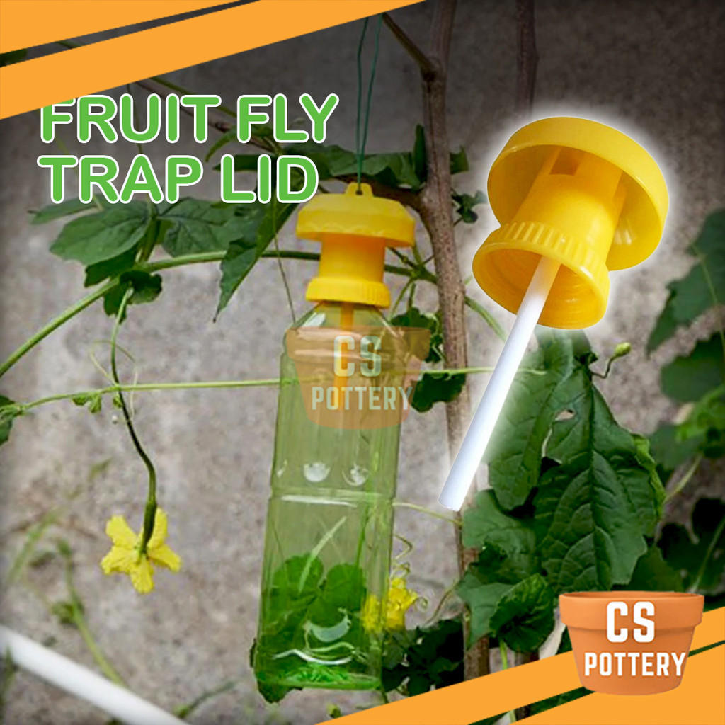 Garden Fruit Fly Trap Lid Insect Flies Catcher Fruit Fly Attractant ...