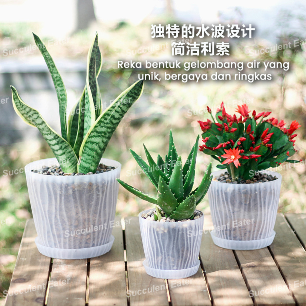 Wave Striped Flower Pot Pasu Bunga Jalur Gelombang 波纹彩色花盆 | Shopee Malaysia