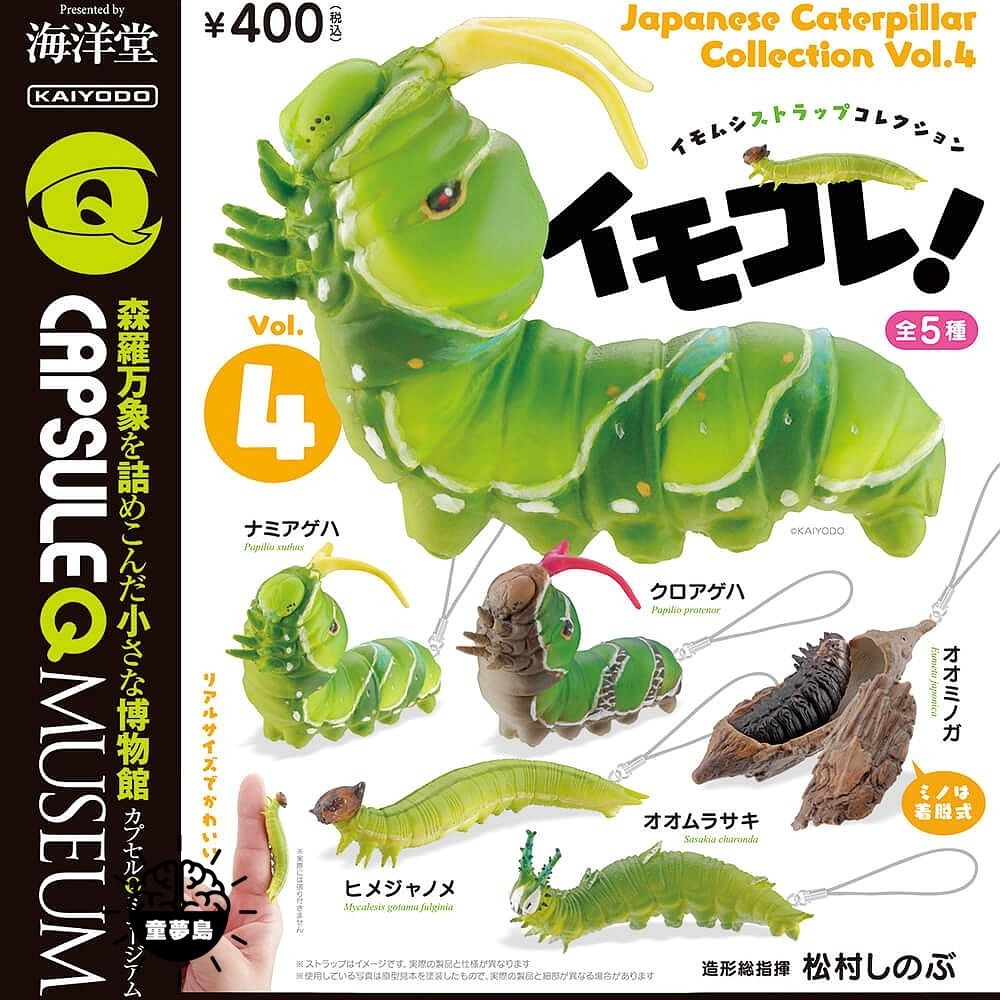 Ocean Hall Capsule Toys Insect Three-Dimensional Illustrated Book ...