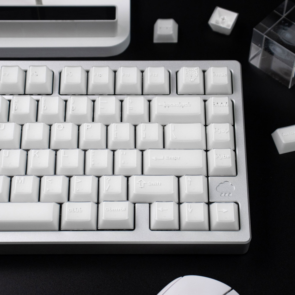 Aifei X-ray Keycaps 114 Keys white Translucent ABS Double shot cherry ...
