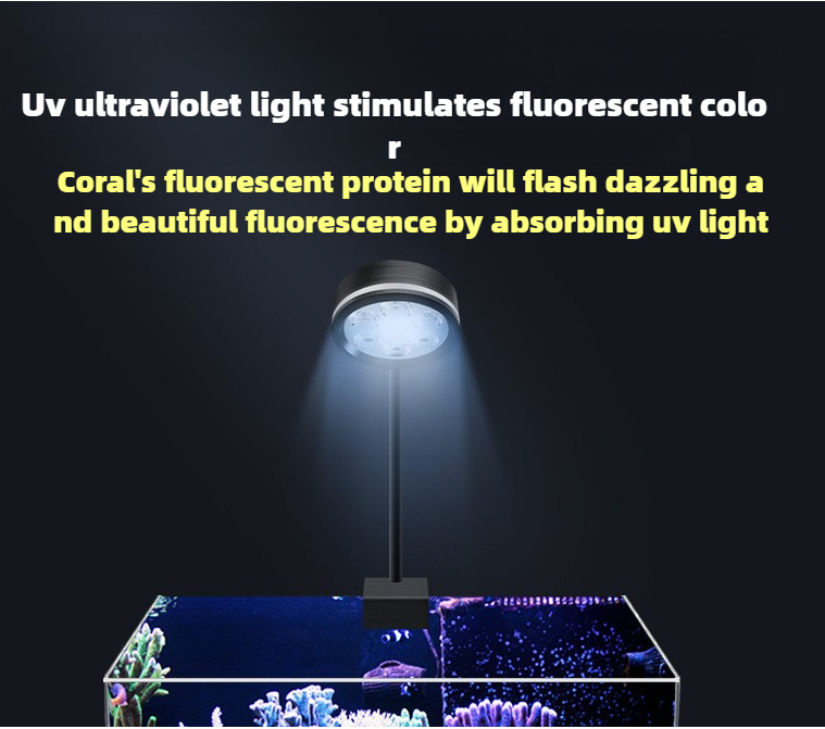 Coral Light Sea Tank Light Seawater Fish Tank Light led Lighting ...