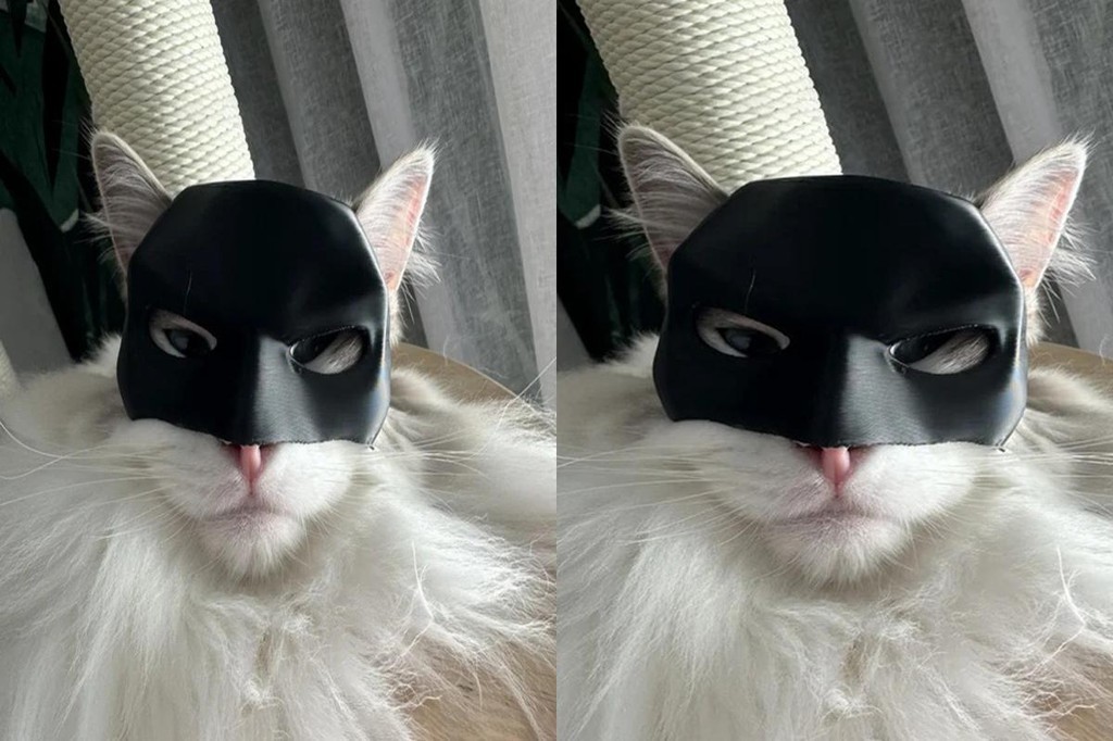 [SH] Halloween Pet Accessory Cat Ear Mask Black Cat Halloween Half Face ...