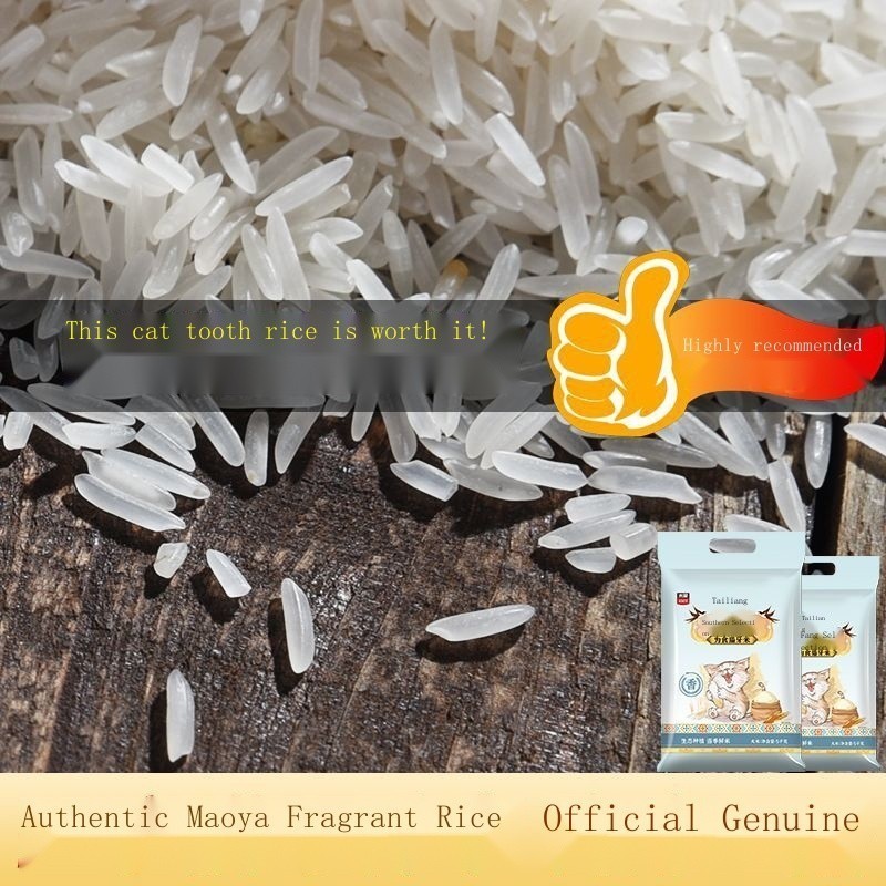 Tailiang Maoya Rice 5kg Ivory Fragrant Rice Long-grain New Rice 5.0kg ...