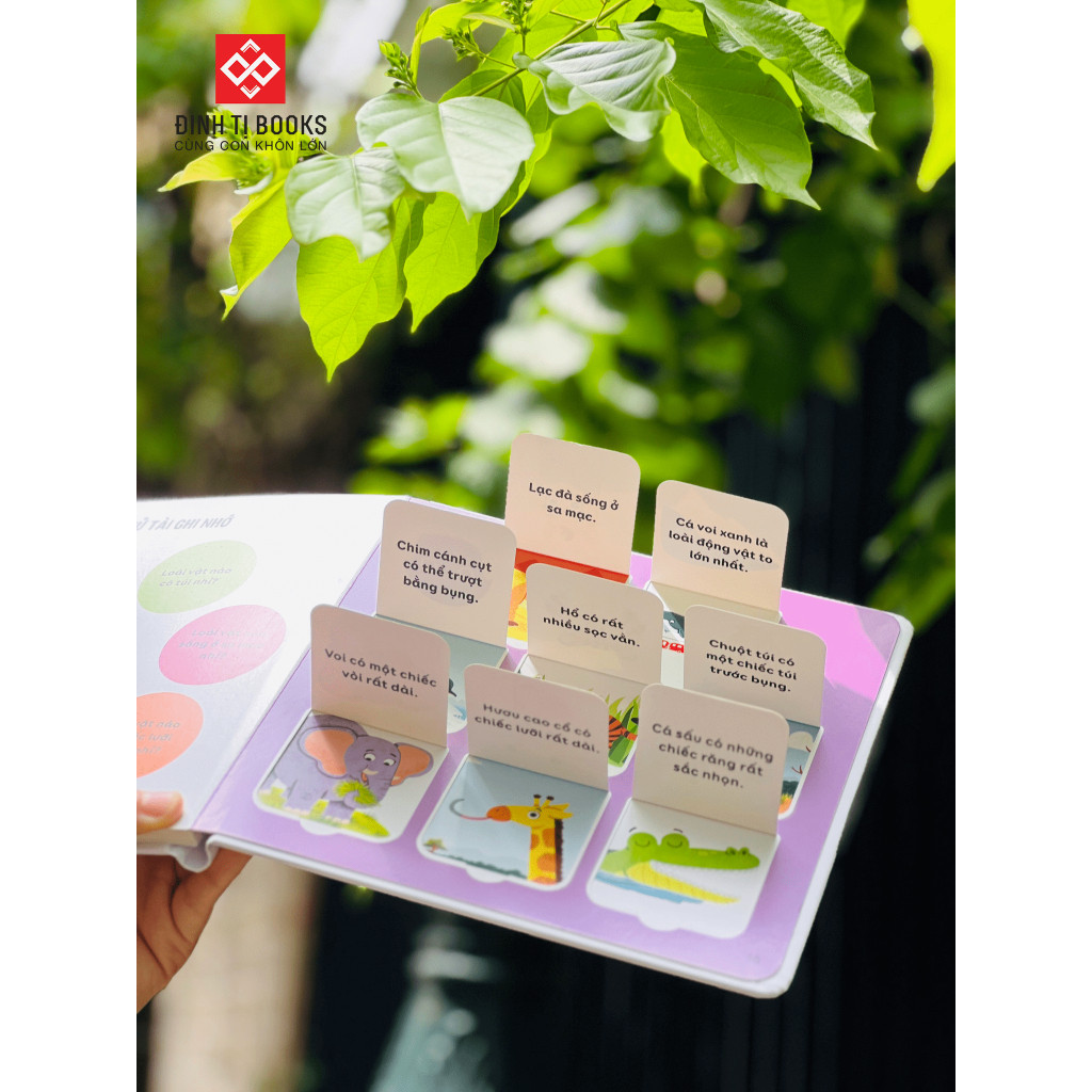 Interactive book - Lift-the-flap - Animal world and Children learn to ...