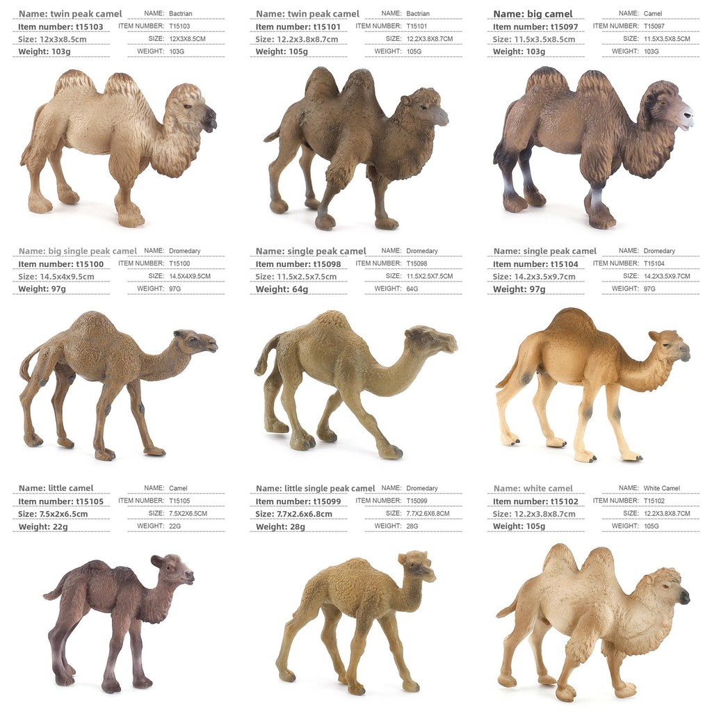 Zoo Pvc Animal Static Model Set With Desert Camels Educational For ...