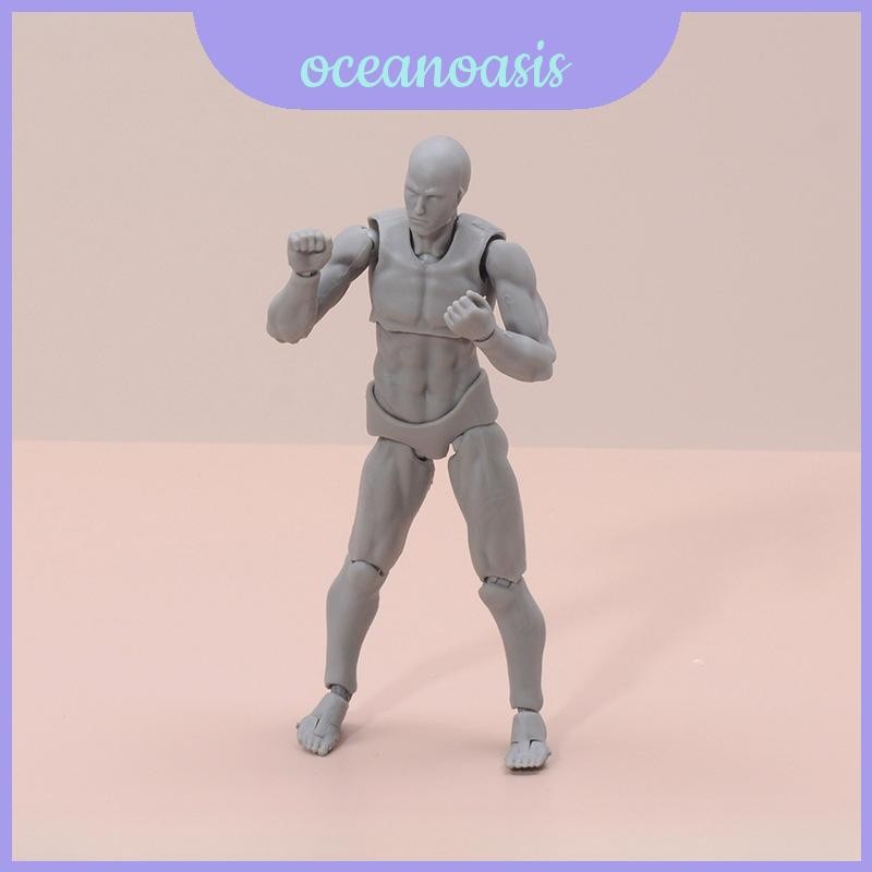 Pvc Figma Articulated Action Figure Male Female For Sketching Use And ...