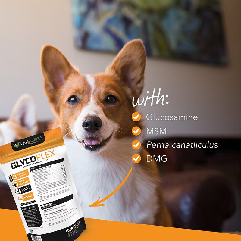 VetriScience GlycoFlex Stage 2 3 Hip & Joint Supplement for Dogs ...