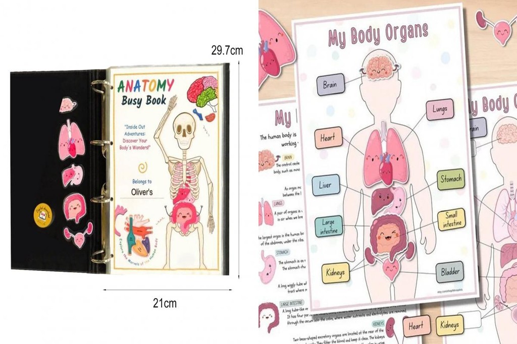 someryer| Kids Anatomy Busy Book Toddler Anatomy Busy Book Interactive ...