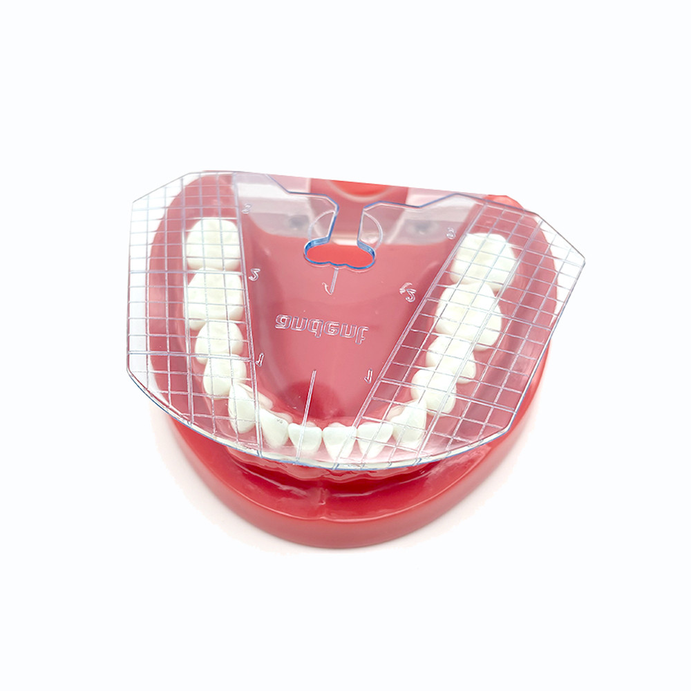 Dental Guide Plate Oral Tooth Arrangemen Measurement Tools for Complete ...