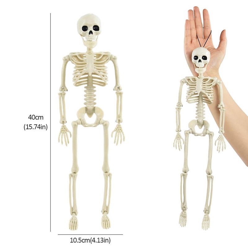 Halloween Decoration Terror Graveyard Skull Skeleton Human Hand ...
