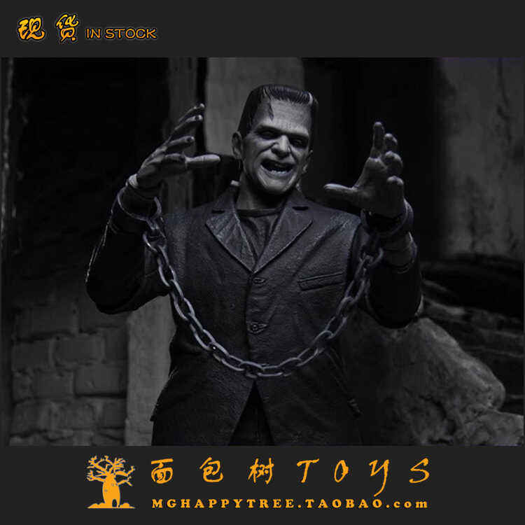 NECA Genuine Gold Label Frankenstein Frankenstein Black And White ...