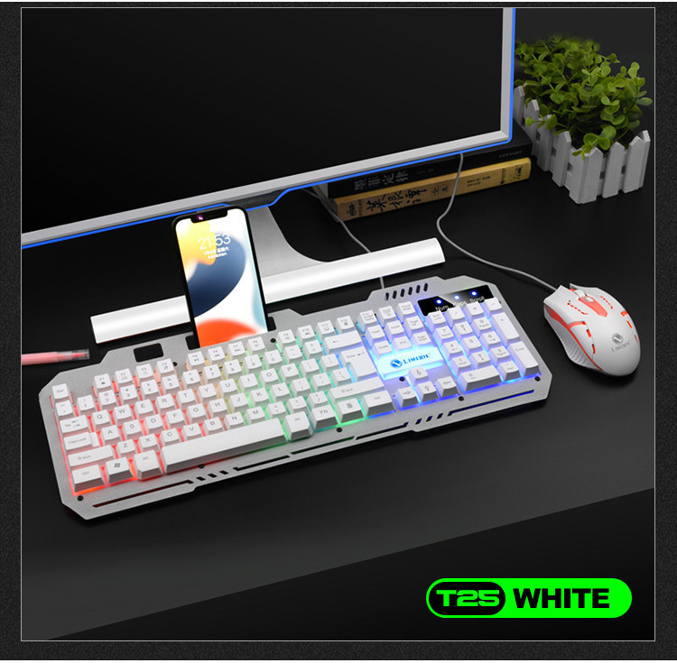 Wired Keyboard and Mouse Set RGB Gaming Keyboard And Mouse Combo Wired ...