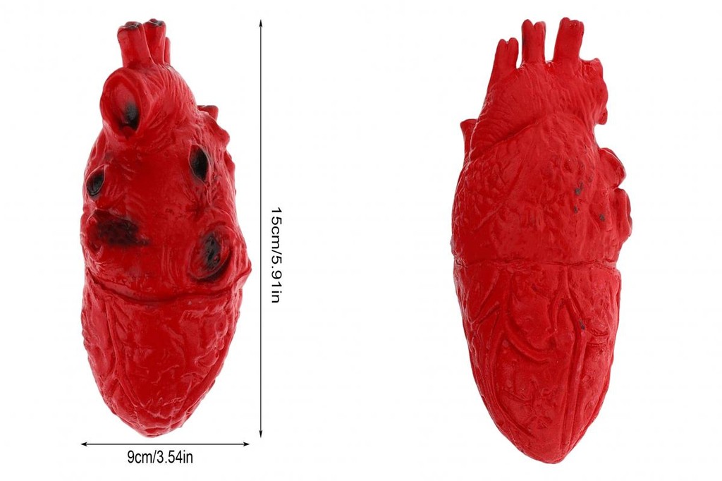 shopeestore| Fake Organ Prop Fake Heart Prop Realistic Fake Human Heart ...