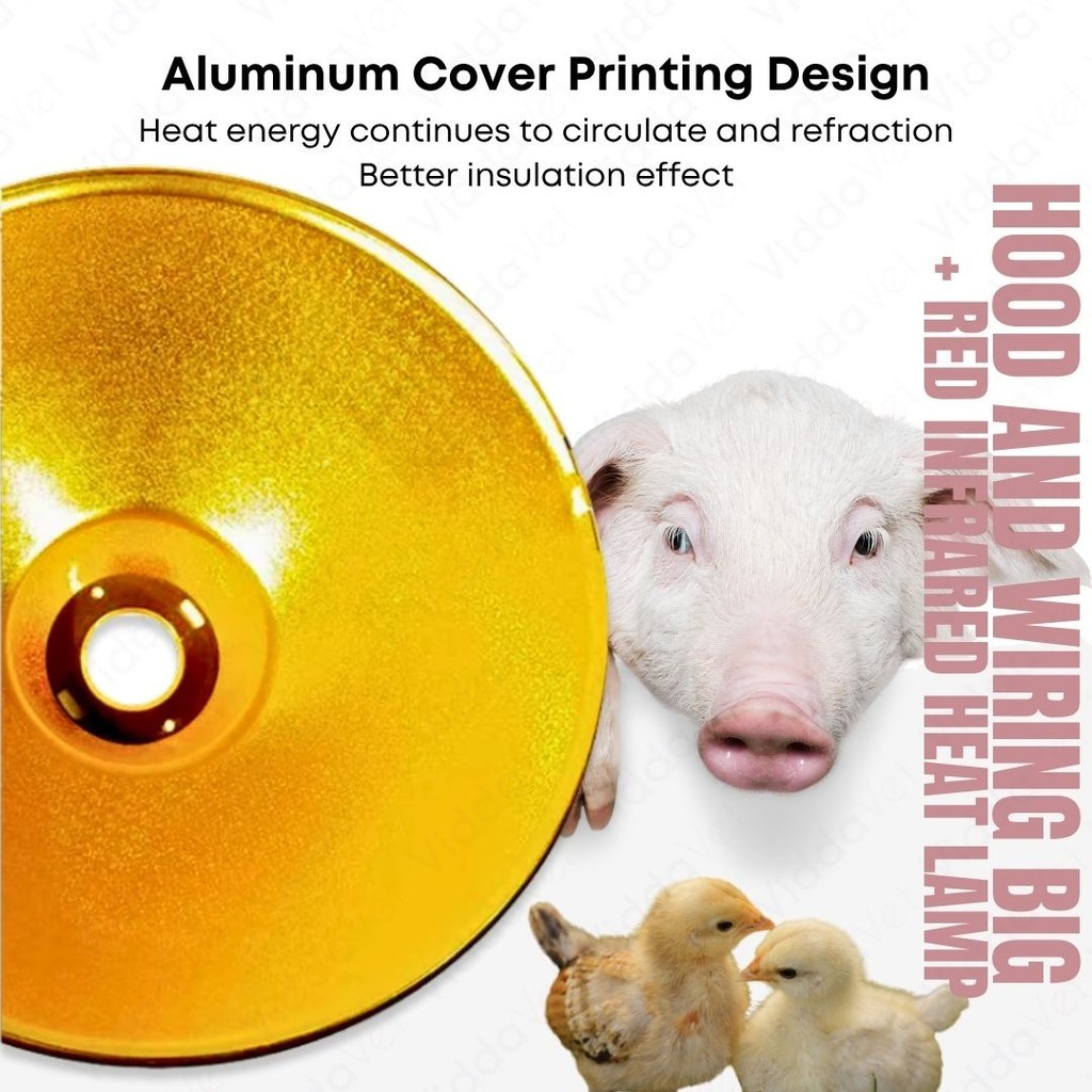 Hood and Wiring Big with Red Infrared Lamp Safe Heat for Brooding and ...