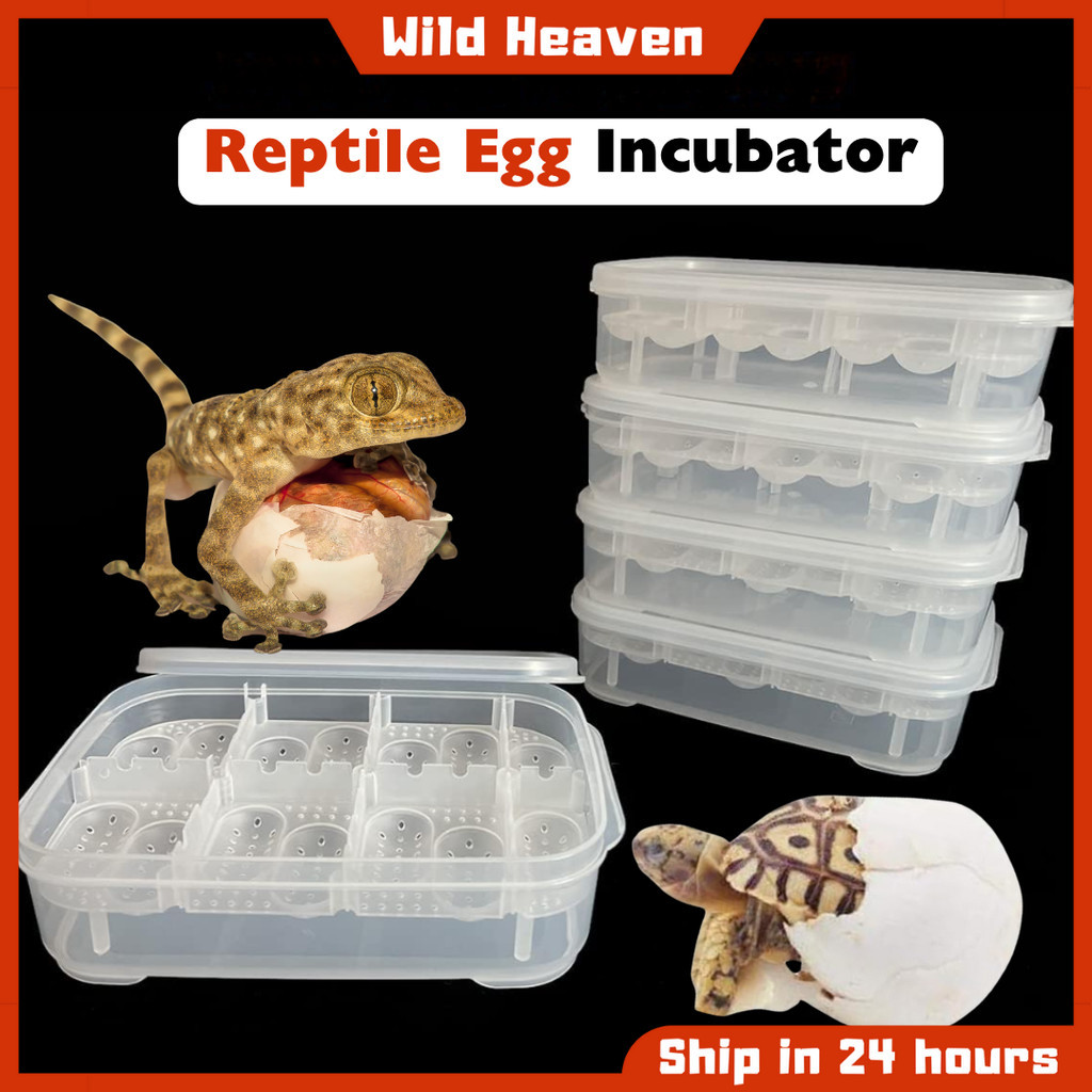 Reptile Egg Incubator Premium Hatching Breeding Box Snakes Lizards ...