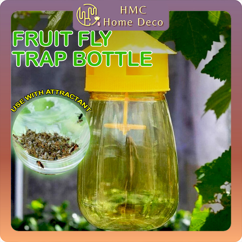 Garden Fruit Fly Trap Bottle Insect Flies Catcher Fruit Fly Attractant ...