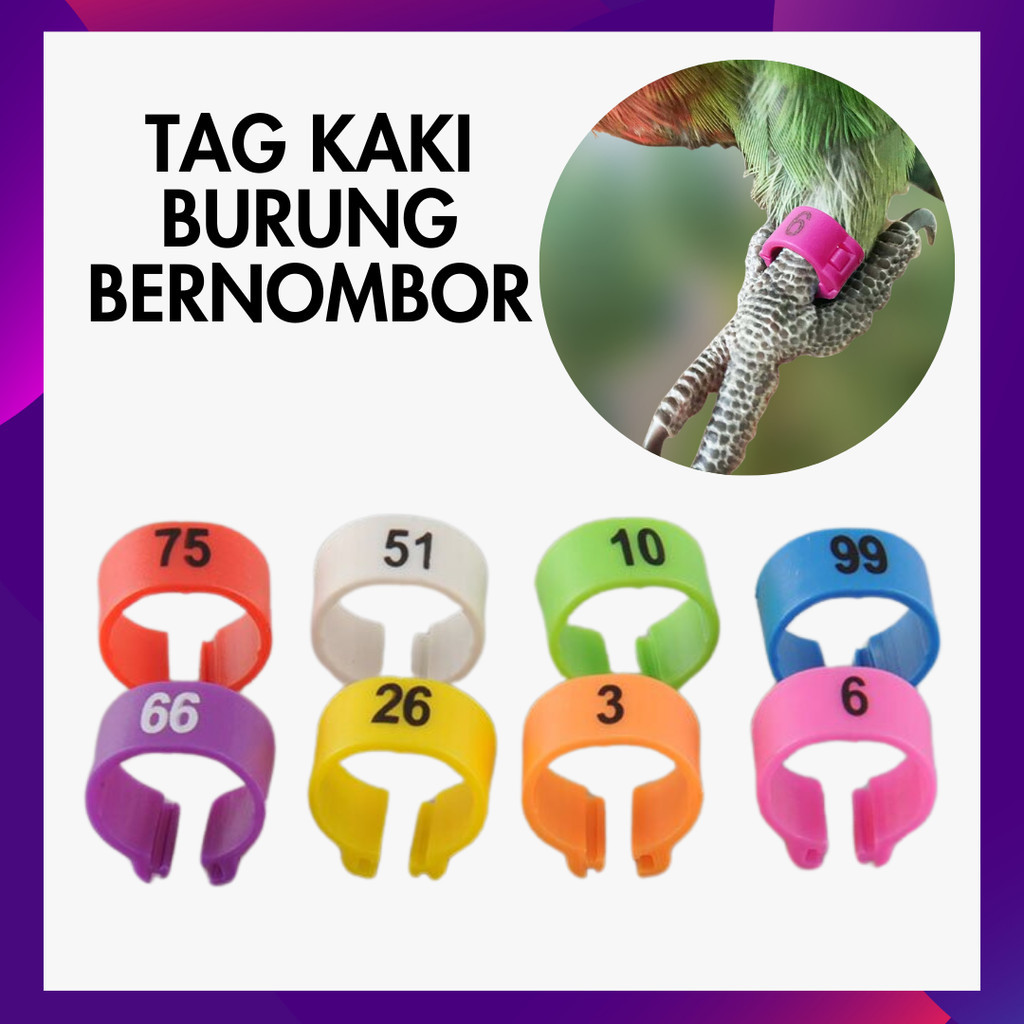 [10 UNIT] TAG KAKI BURUNG BERNOMBOR SAIZ KECIL | SMALL BIRD RING TAG ...