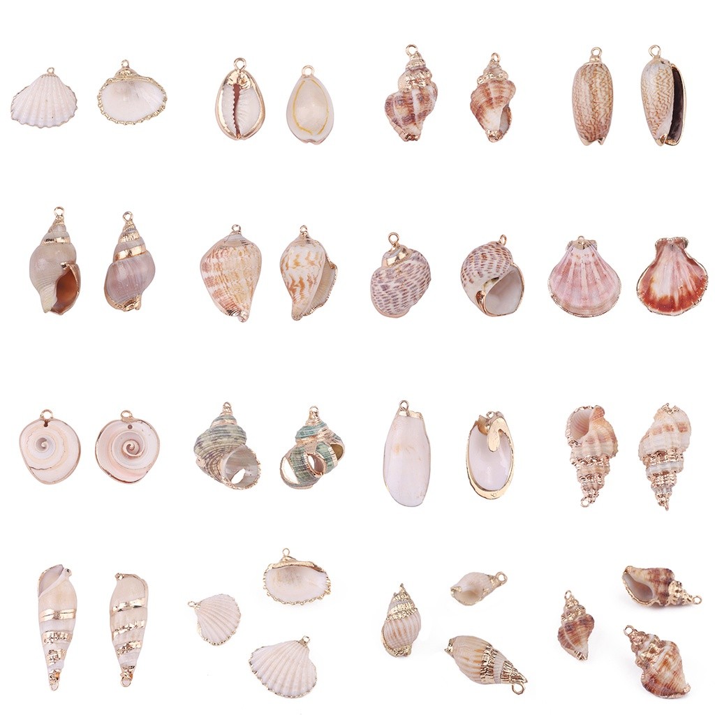 2Pcs 15 Styles Natural Shell Charms Tiny Conch Cowrie Sea Shells ...