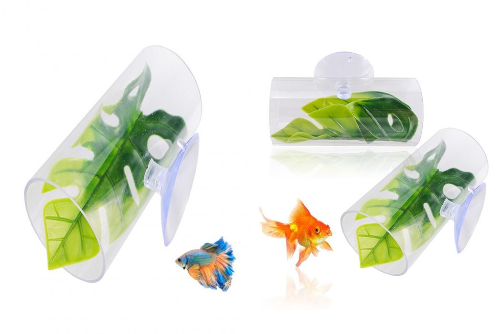 olimpidd| Small Fish Acrylic Tunnel Acrylic Betta Fish Perch Acrylic ...