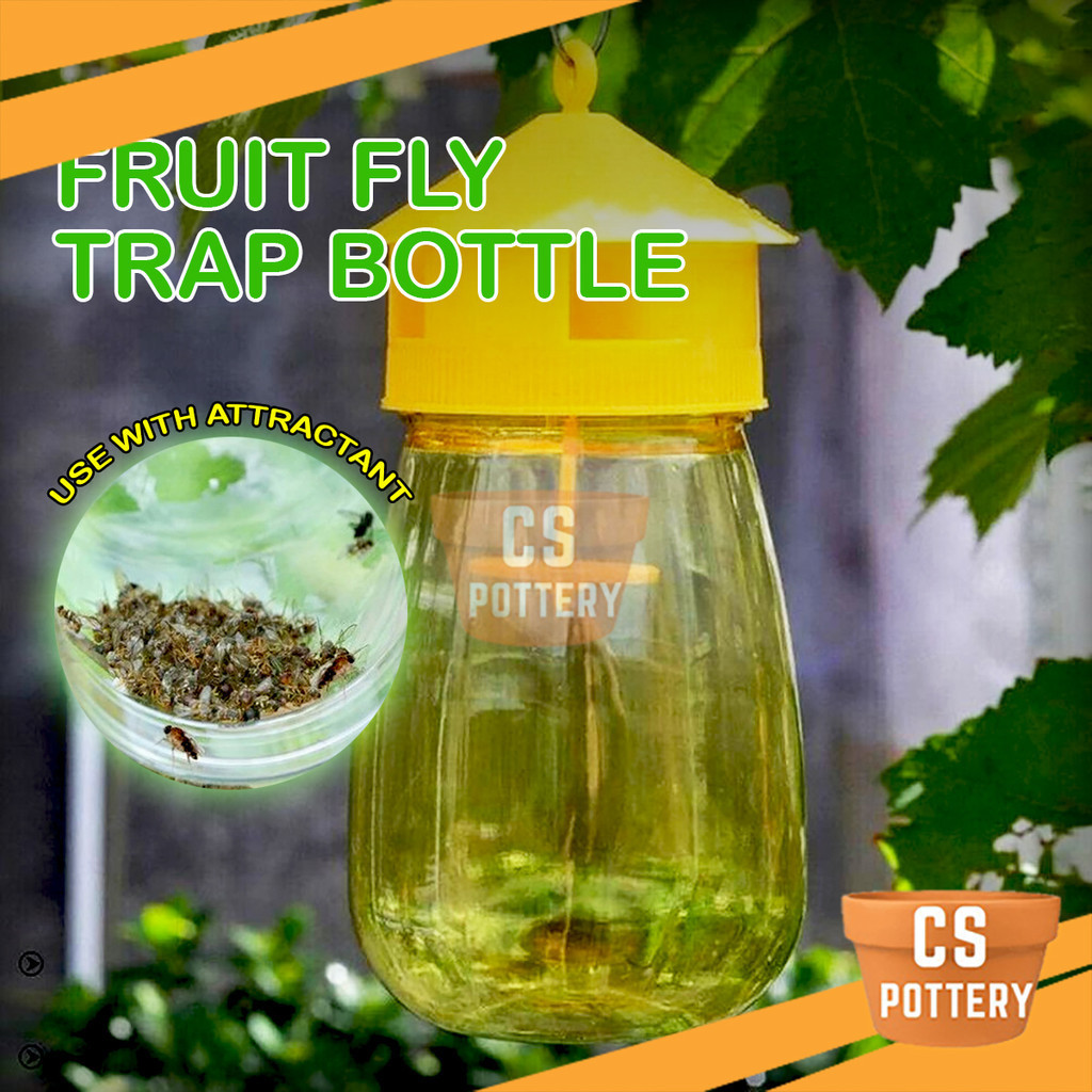 Garden Fruit Fly Trap Bottle Insect Flies Catcher Fruit Fly Attractant ...